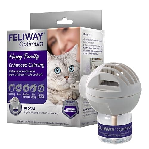 Best Cat Pheromone Diffusers and Calming Products: Multi-Cat Tension ...