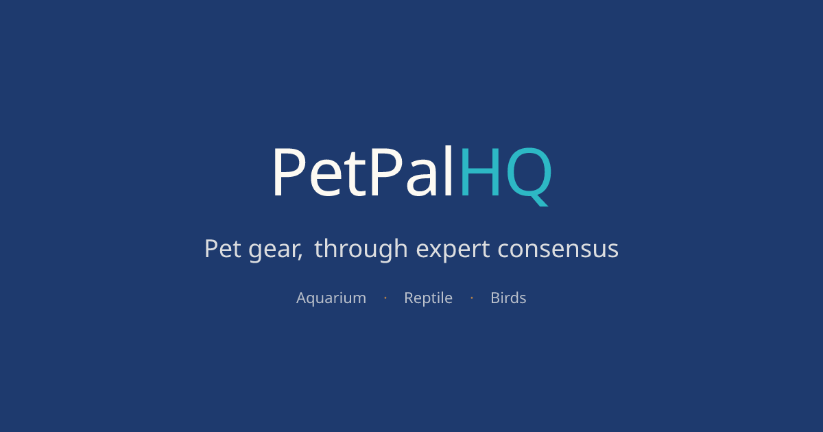 Best Pet Cameras for Dogs and Cats: Monitoring, Treat-Toss, and ...